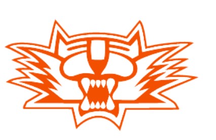 Tiger Gear – I:49 Designs